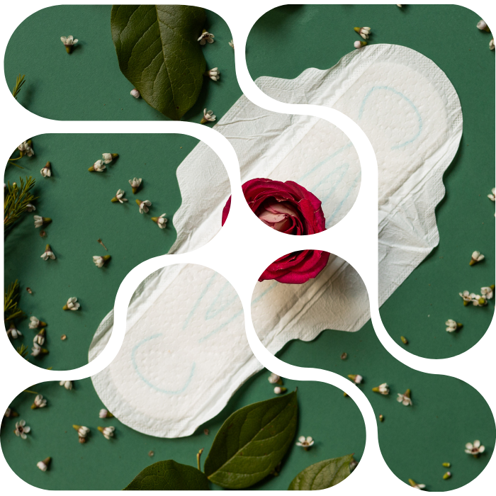 GLOBAL | Sanitary Pads